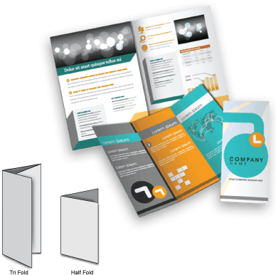 Download Brochures - Professional Business Brochures - Full Size PNG ...