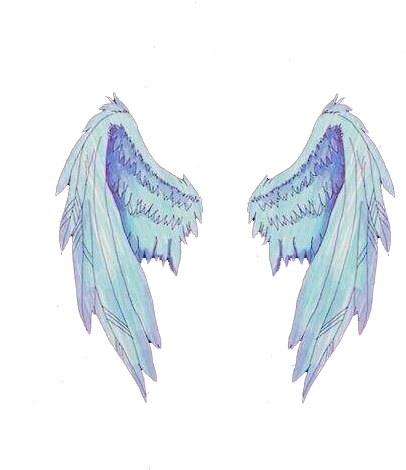 Angel Wings Drawing Tumblr