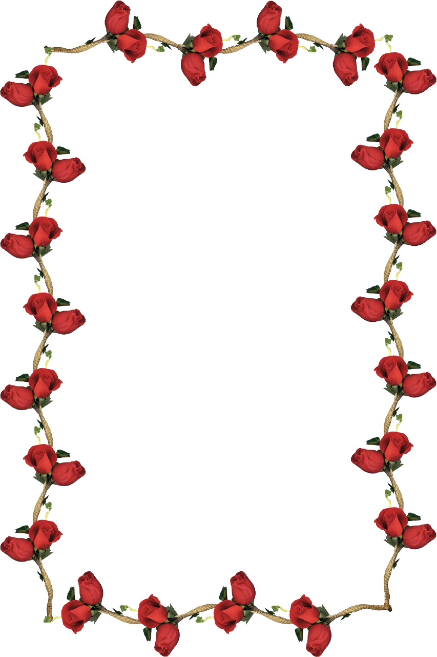 Download Stylish Red Rose Border Picture Frame - Transparent Border ...