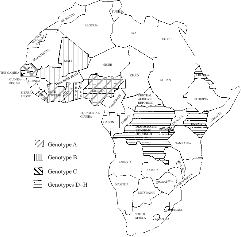 Download Map Of Africa Indicating Genotype Distribution Of Sat-2 - Diagram - Full Size PNG Image ...