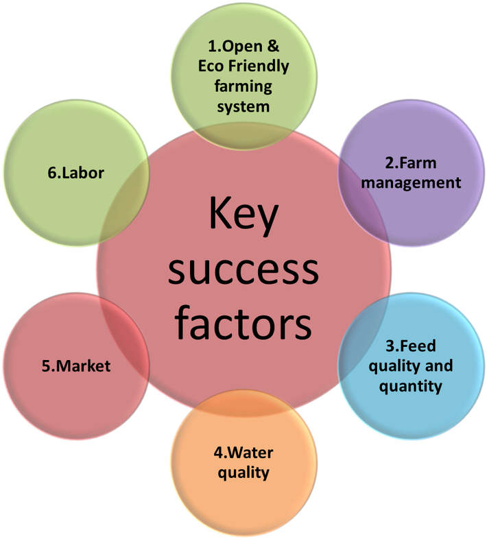 Download Key Success Factors - Dama Data Quality Dimensions - Full Size ...