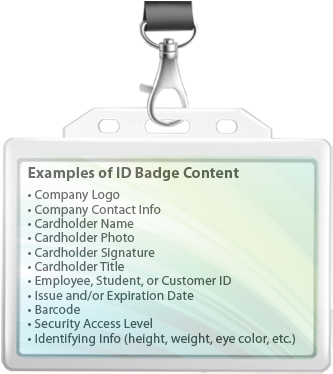 Download Transparent Examples Of Id Badge Content - Company Badge Id ...