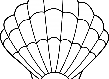 Download Shell Clip Art - Sea Shells Cut Out - Full Size PNG Image - PNGkit