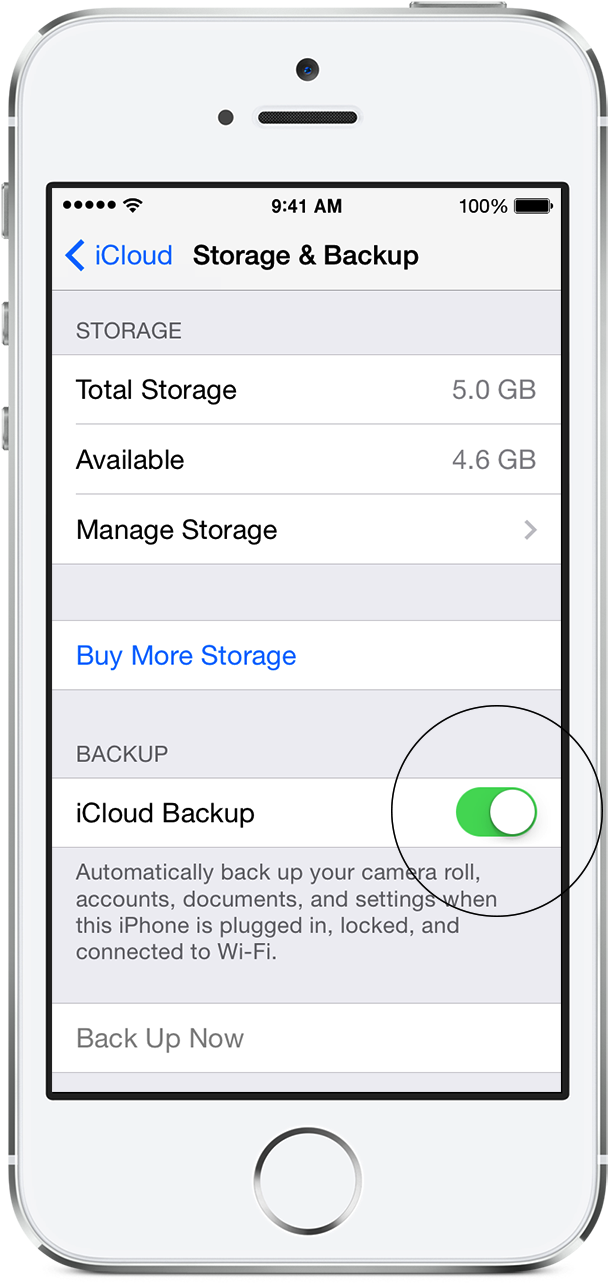 Download User Uploaded File - Care Chat - Full Size PNG Image - PNGkit