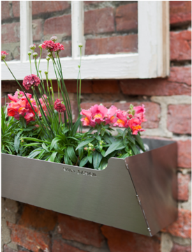 Download Love These Window Boxes - Alyssum - Full Size PNG Image - PNGkit