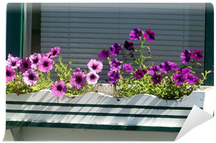 Download Transparent Window Box - PNGkit