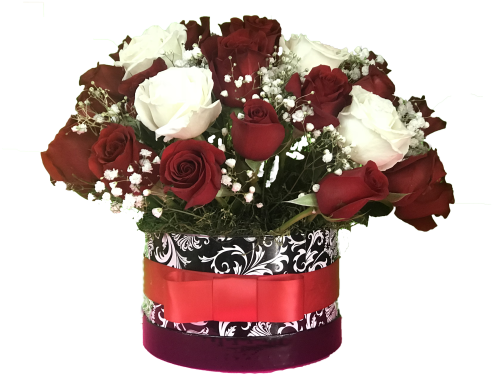 Download Flower Box Reda & White - Florida - Full Size PNG Image - PNGkit