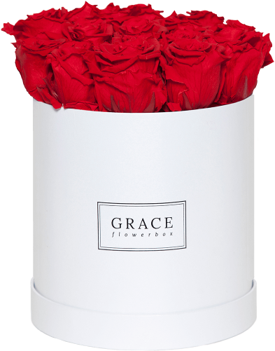 Download Flower Box Png - Full Size PNG Image - PNGkit