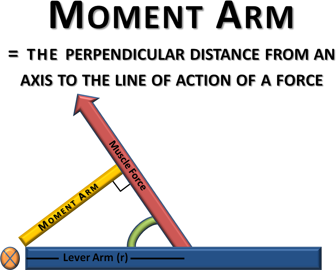 Download Moment Arm In A Force System - Line Of Action Moments - Full ...