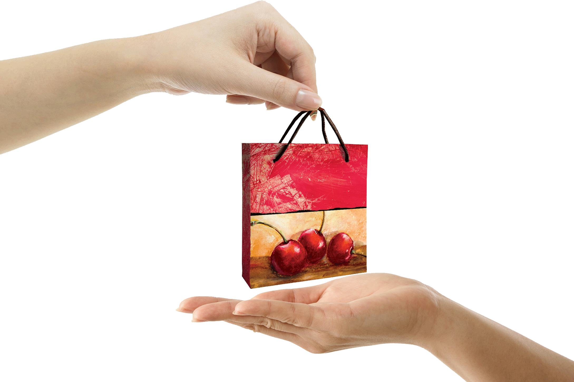 Download Hand Giving Gift Bag - Giving A Bag To Someone - Full Size PNG ...