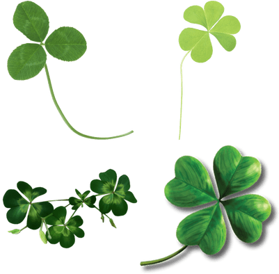 Download Clover - Full Size PNG Image - PNGkit