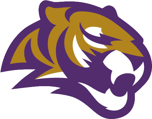 Download Spencer Tiger Girls Soccer Beats Norwalk 3-2 To Win - Spencer ...