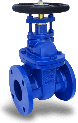 Download Iron Body Gate Valve Image 02 - Cast Iron Gate Valve Rising ...