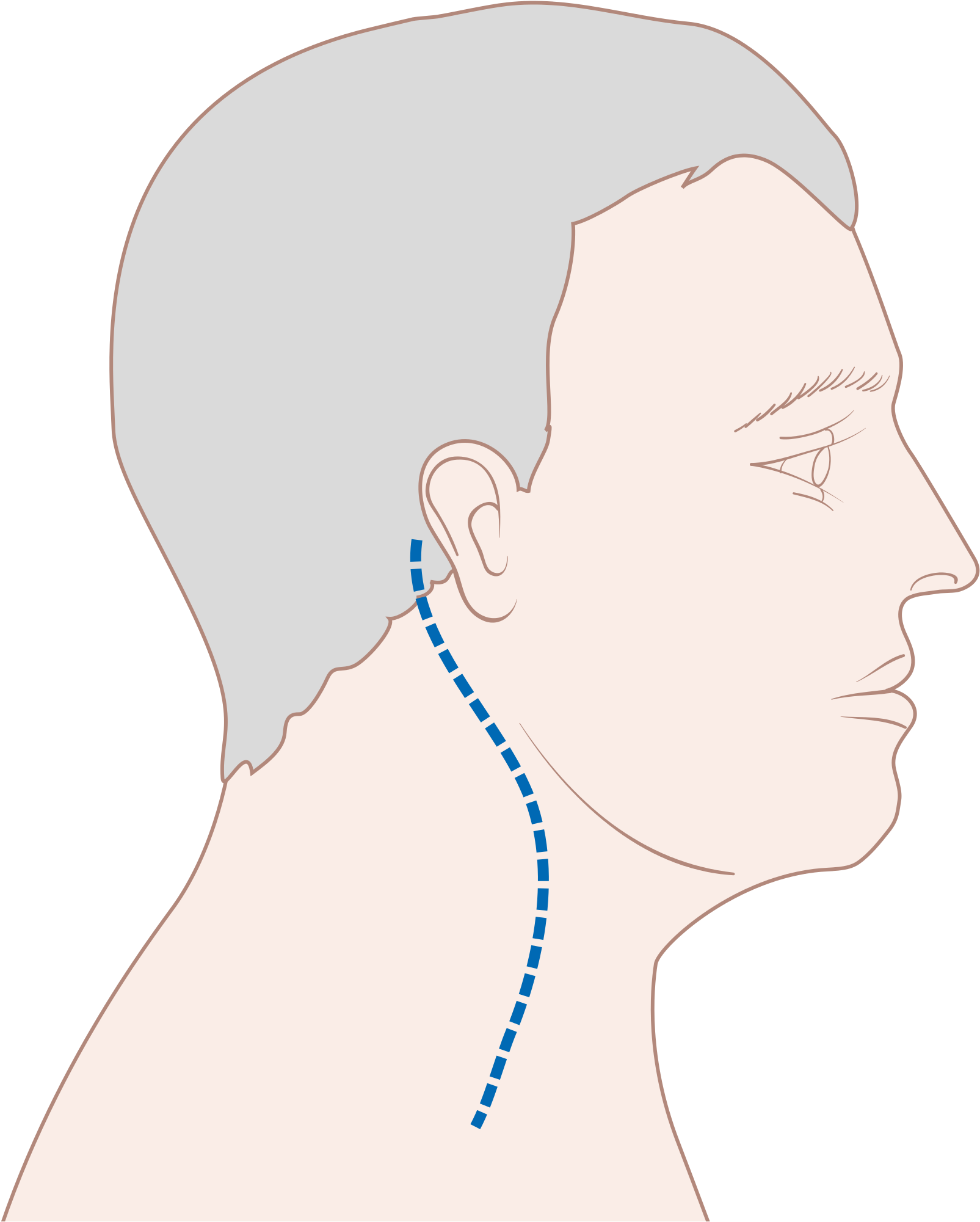 Download Open - Human - Full Size PNG Image - PNGkit