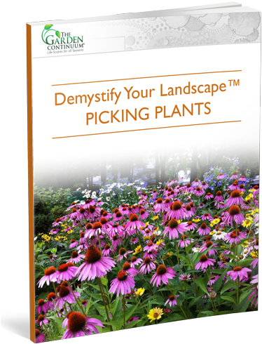 Download Learning - Full Size PNG Image - PNGkit