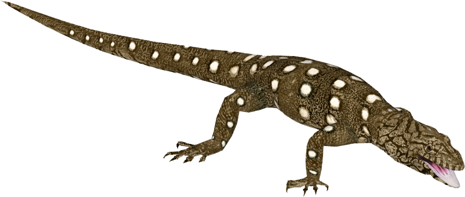 Download Perentie - Monitor Lizard - Full Size PNG Image - PNGkit