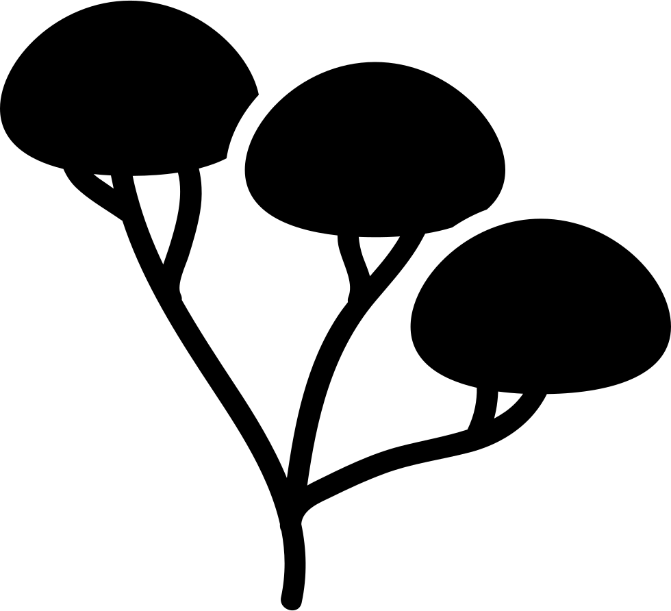 Download Tree Of Three Branches And Foliage Areas Vector - Arbol Con 3 ...