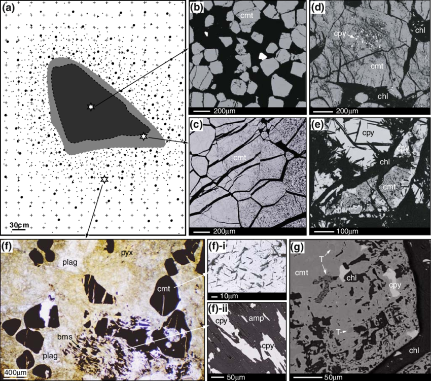 Download The Matrix Consists Of Pegmatitic Gabbro With Disseminated ...