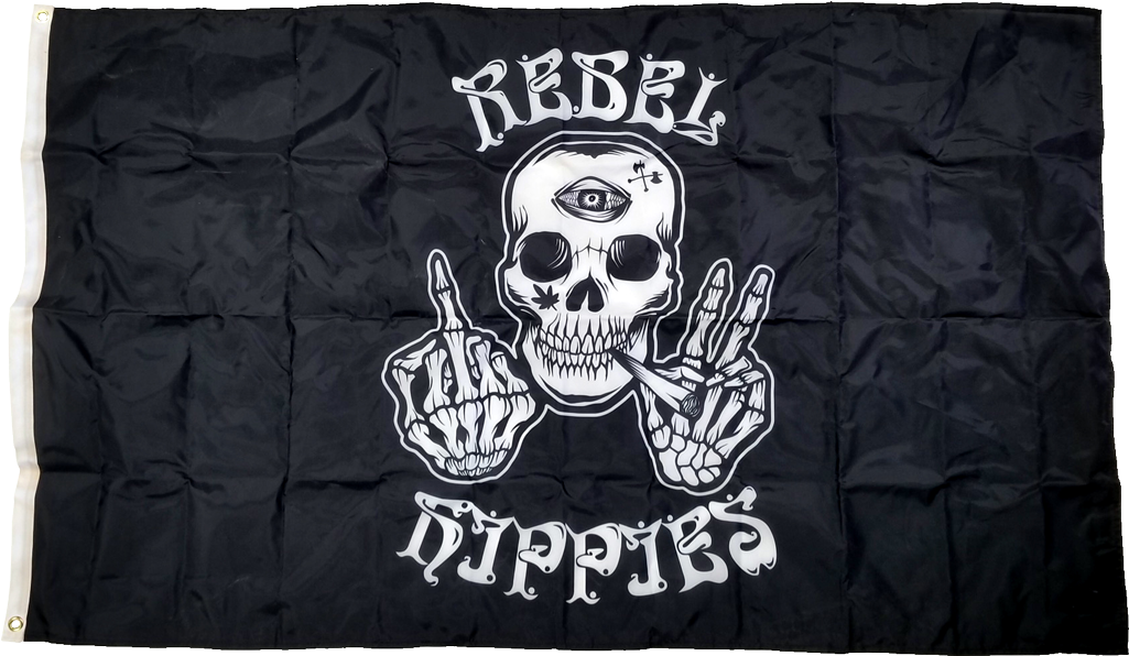 Download United Airlines - Full Size PNG Image - PNGkit