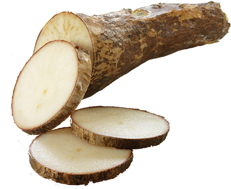 Download Yuca Png - Yucca Root Transparent - Full Size PNG Image - PNGkit
