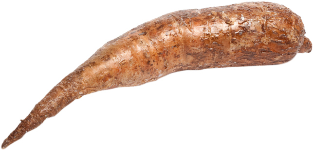 Download Product Group - Slug - Full Size PNG Image - PNGkit