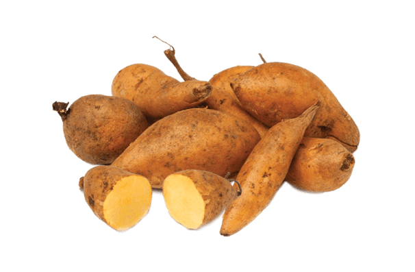 Download Yacon Powder Core Product Image Template Wide - Yacon Root ...