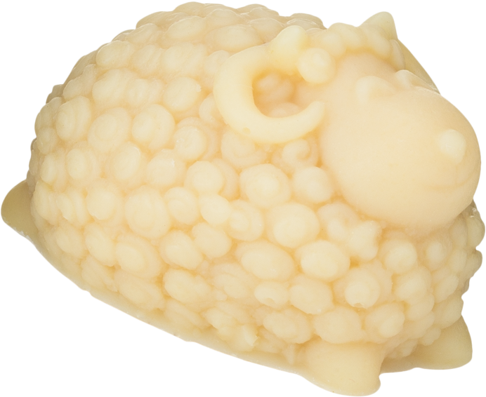 Download Shell - Full Size PNG Image - PNGkit