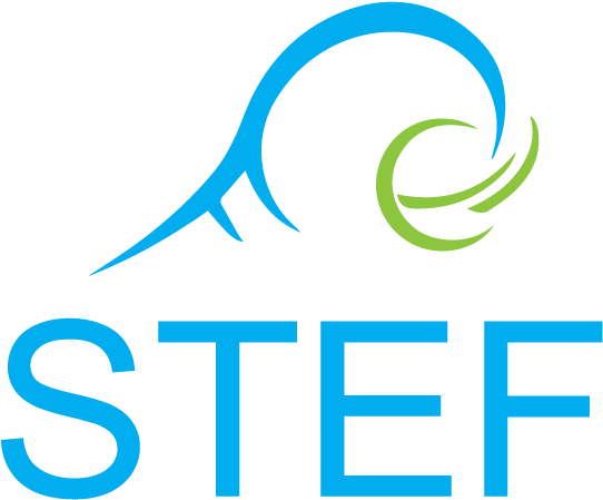 Download Colorful, Playful, Education Logo Design For Seattle - Caste ...