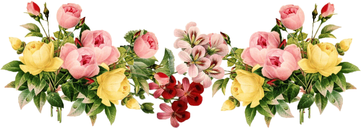 Download Transparent Flower Border Png 7 - Transparent Background ...