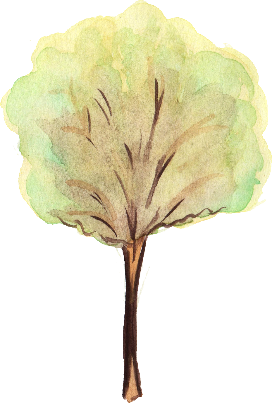 Download Free Download - Watercolor Tree Png - Full Size PNG Image - PNGkit