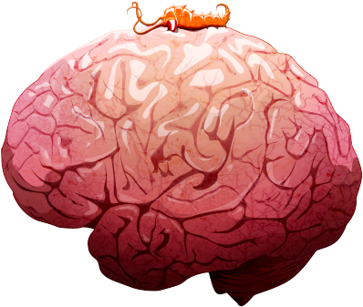 Download Neurax Worm On Brain - Neurax Worm - Full Size PNG Image - PNGkit