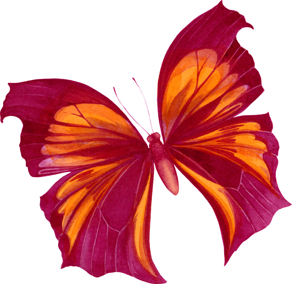 Download Portable Network Graphics - Full Size PNG Image - PNGkit