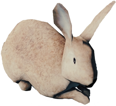 Download Forest Game Rabbit - Full Size PNG Image - PNGkit