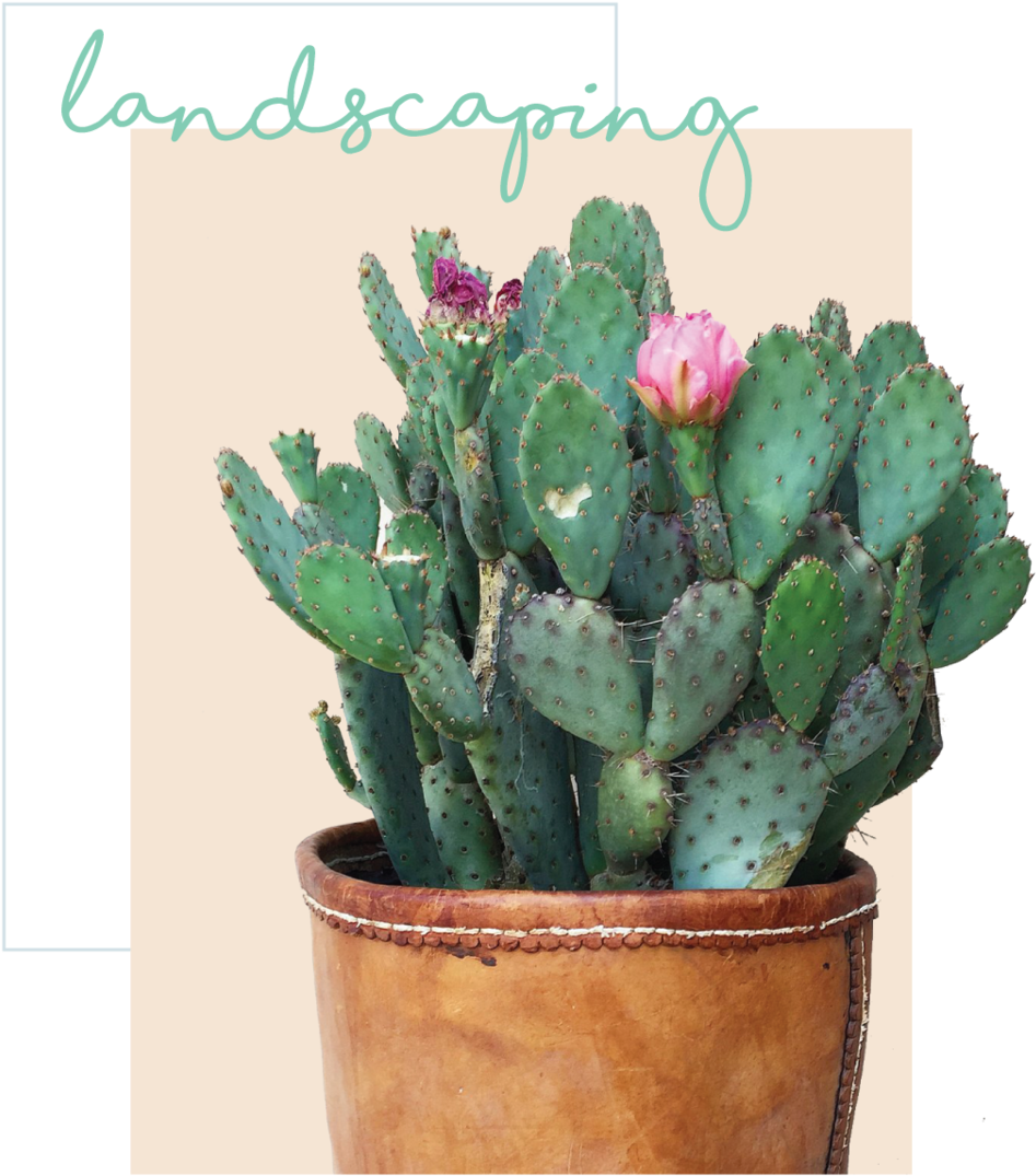 Download Landscapingheader - Full Size PNG Image - PNGkit