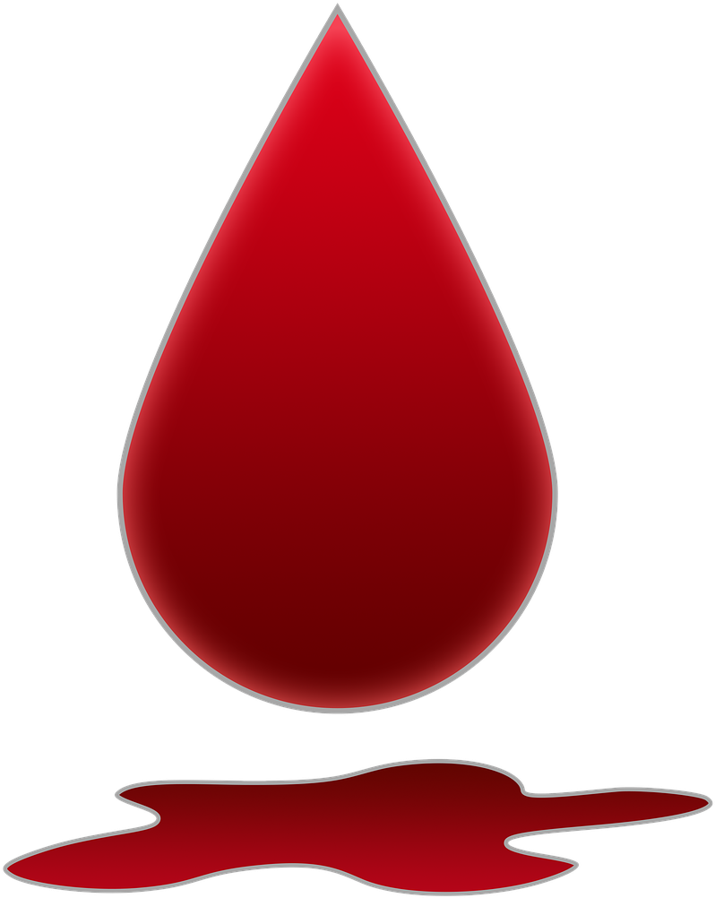 Download Blood,bloodstain,a Pool Of Blood,vector,png,red Drop, - หยด ...