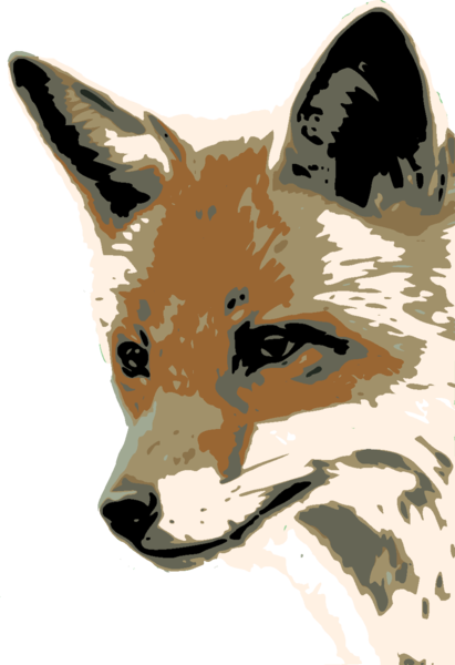 Download 164 × 240 Pixels - Fox Face - Full Size PNG Image - PNGkit