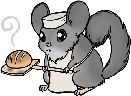 Download Baker Chinchilla - Chinchilla - Full Size PNG Image - PNGkit