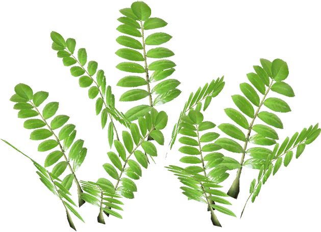 Download Bohemian Rhapsody - Illustration - Full Size PNG Image - PNGkit