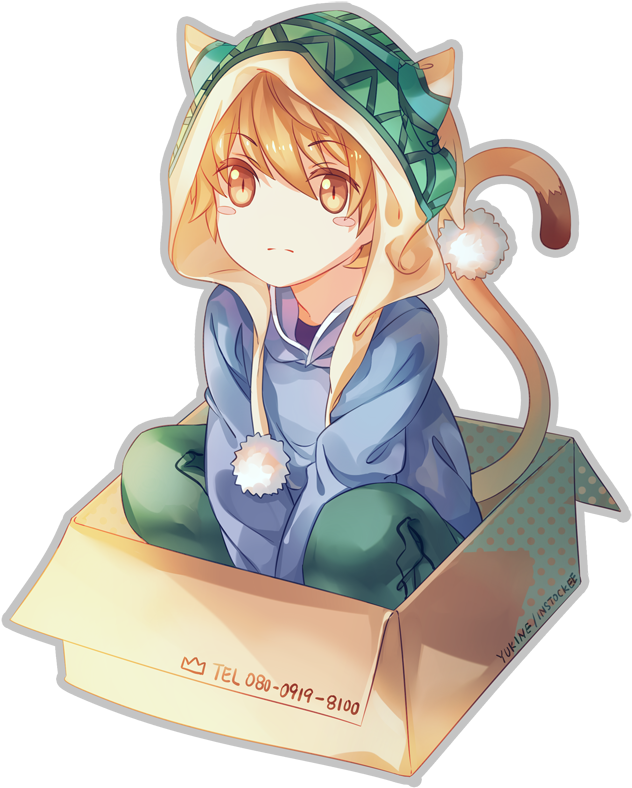 Download Noragami Images Neko Yukine Hd Wallpaper And Background ...