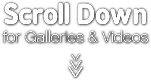 Download Scroll-down Scroll Down - Emblem - Full Size PNG Image - PNGkit