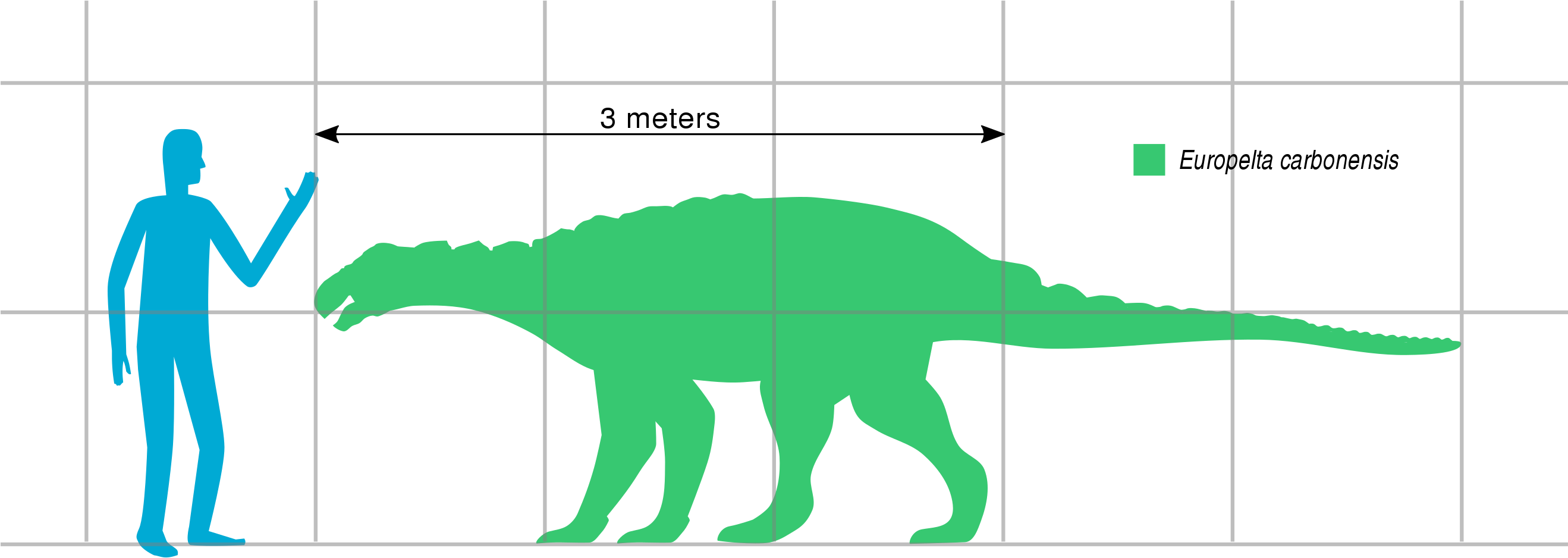 Download File - Europelta Scale - Svg - Pinacosaurus Size Comparison ...