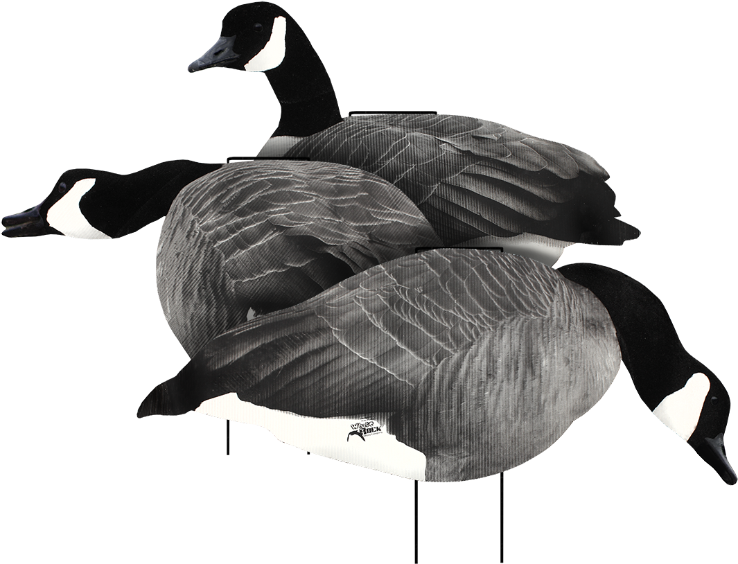 Download Canada Goose Flocked Head Silhouette Decoy - White Rock Decoys ...
