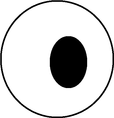 Download Plastic Eye - Plastic - Full Size PNG Image - PNGkit