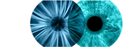 Download Envision - Nåd - Full Size PNG Image - PNGkit