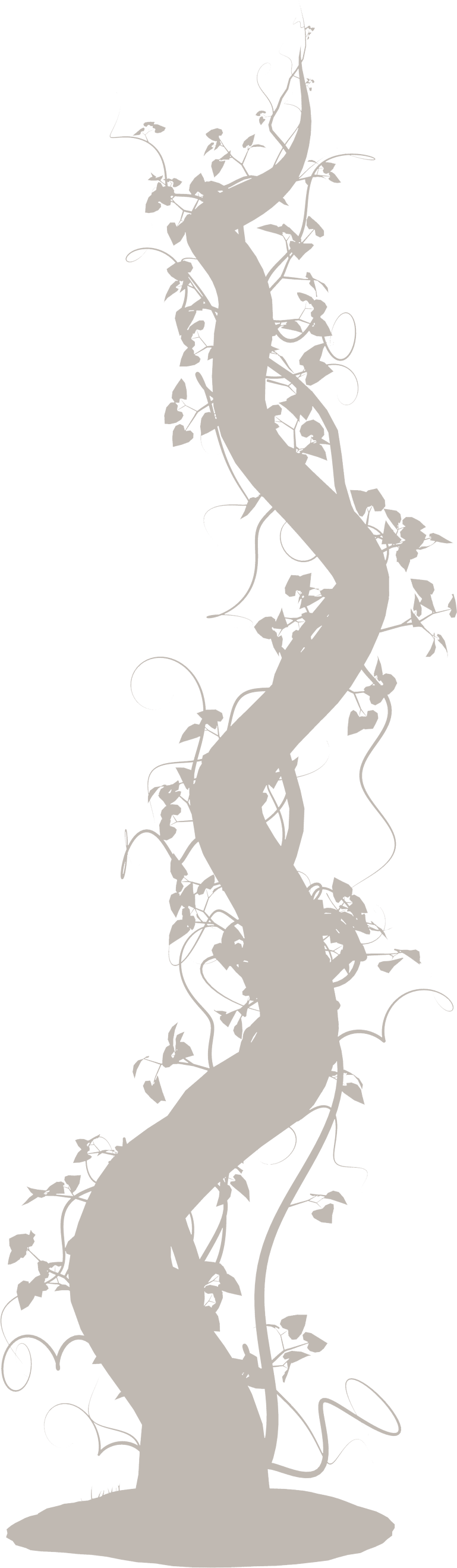 Download Jack And The Beanstalk - Beanstalk Black And White - Full Size ...