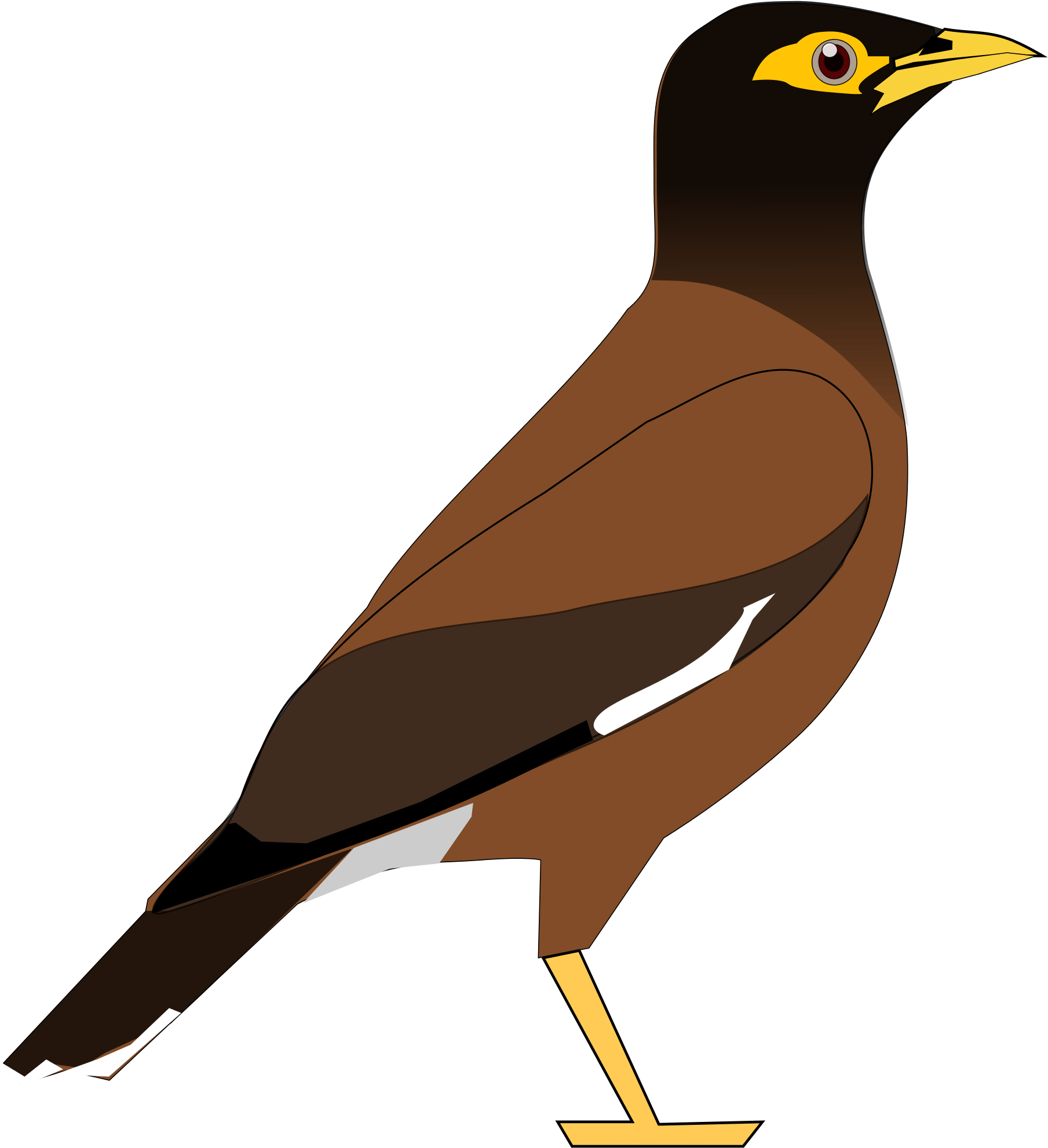 Download File - Commonmyna - Svg - Clipart Of Myna - Full Size PNG ...