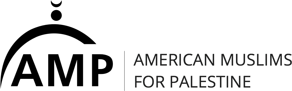 Download Og-image - American Muslims For Palestine - Full Size PNG ...