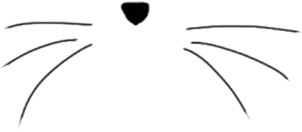 Meow Overlay And Cute Image Transparent Cat Whiskers 12 Cat Sounds