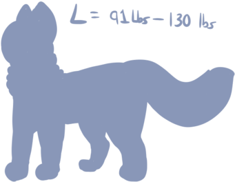 Download On Cs - Companion Dog - Full Size PNG Image - PNGkit