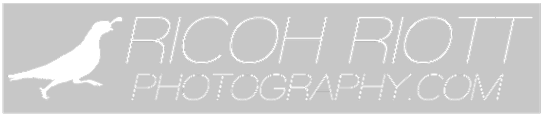 Download Ricoh Riott - Photography - Full Size PNG Image - PNGkit